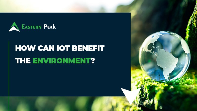 IoT Sustainability Solutions: Top 9 Green Business Ideas in 2021