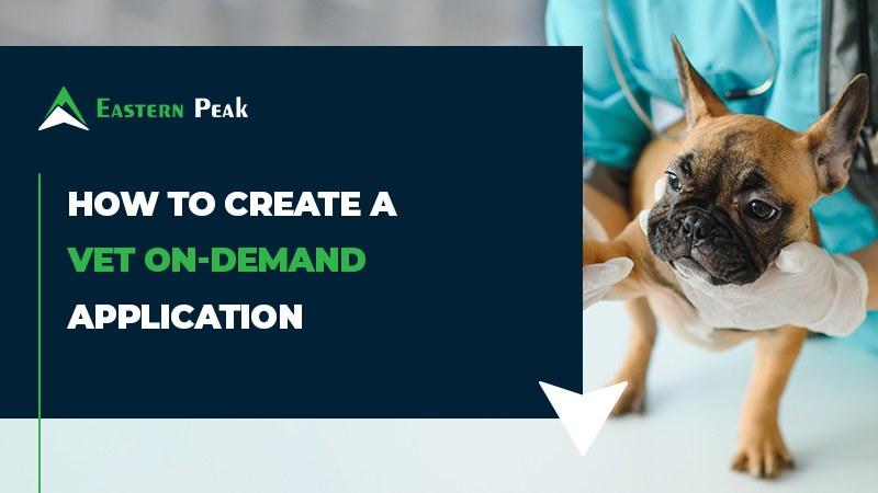 Vet On-Demand: Steps to Veterinary App Development | Eastern Peak